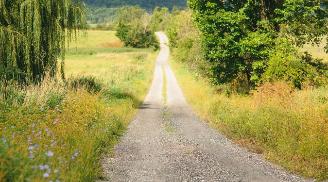 Tata Harper Makes Us Believe Living On a Farm Is Amazing and Doesn’t ...